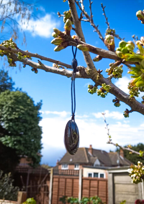 Tree Tagging & Survey Software